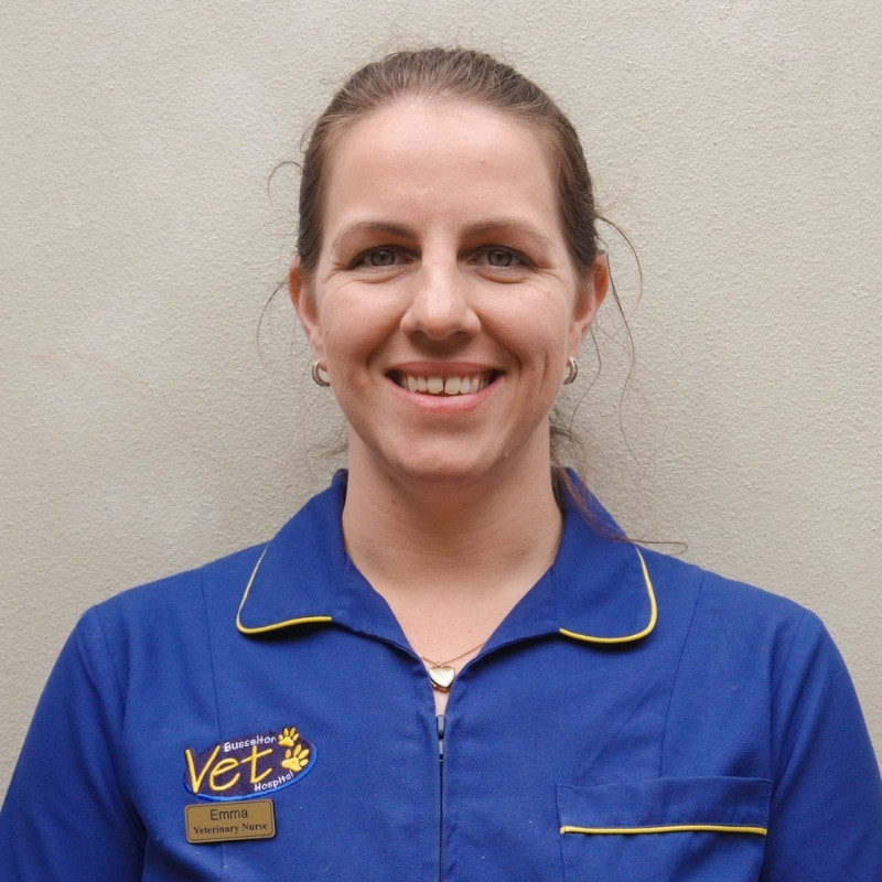 Busselton, WA 6280 Veterinarians | Busselton Vet Hospital