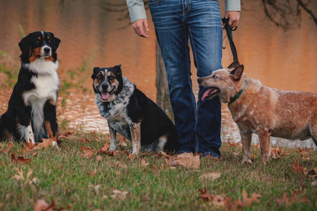 Your Vet Autumn 2025 | Busselton Vet Hospital